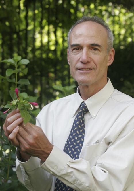 Tu Gaceta Ecológica.: Ecología VS Ecologismo